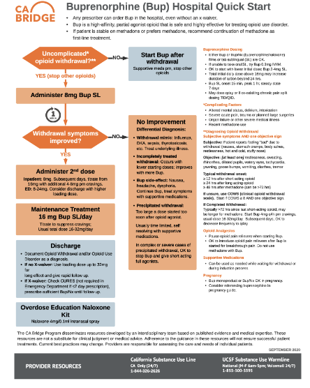 CA Bridge Quickstart Guide - Safer Prescribing Toolkit
