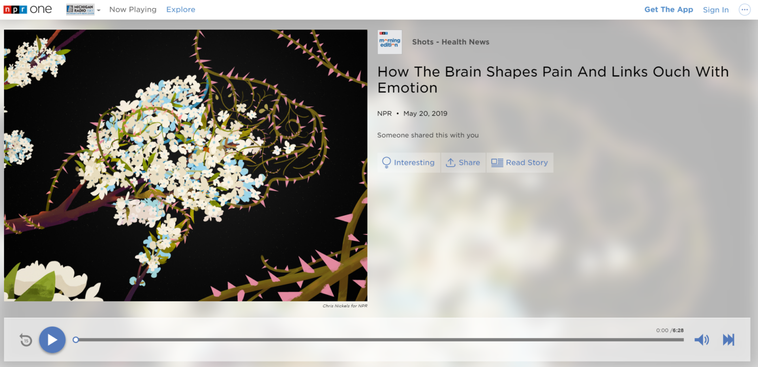Understanding Types of Pain - Safer Prescribing Toolkit