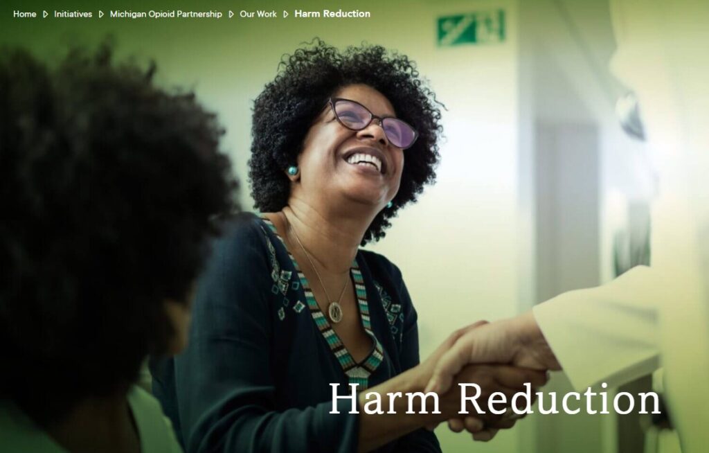 Community Foundation of Southeast Michigan: Michigan Opioid Partnership ...